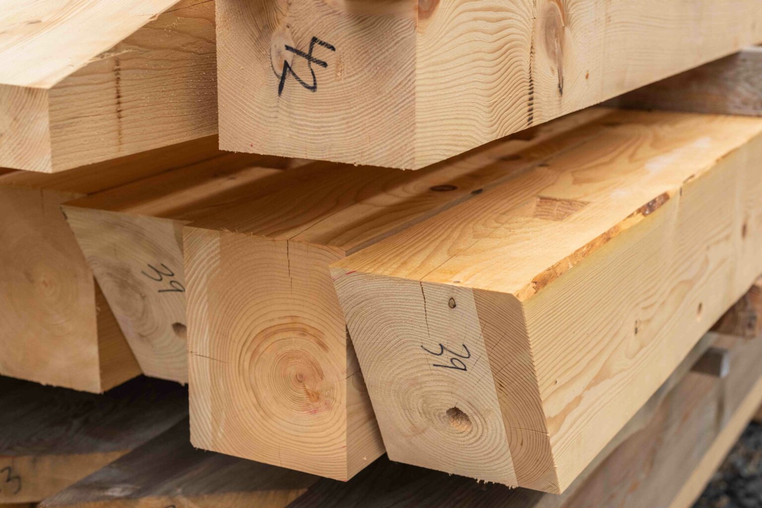 Services - Spatial Design Build